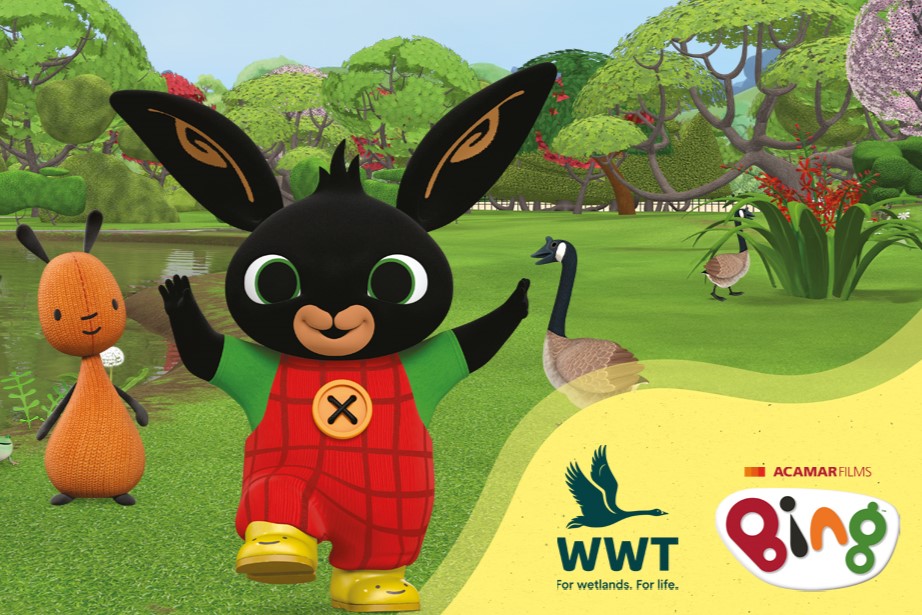 Acamar Films partner with CBeebies on new series of Bing | Animation UK