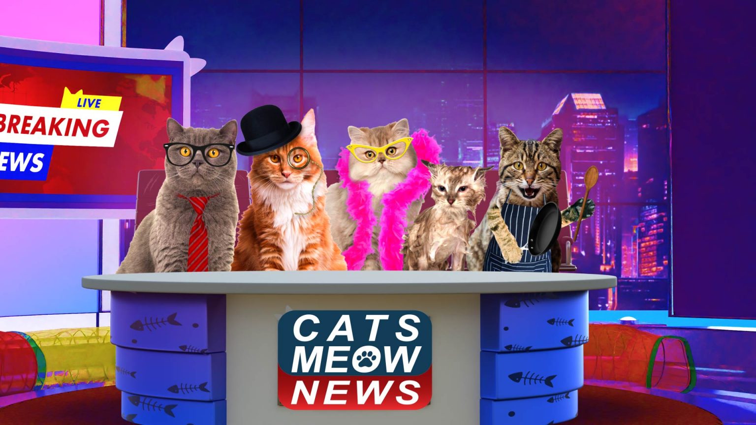 Exciting Collaboration: "Cats React to Facts" Animated Series by Serious Kids and Keyframe ...